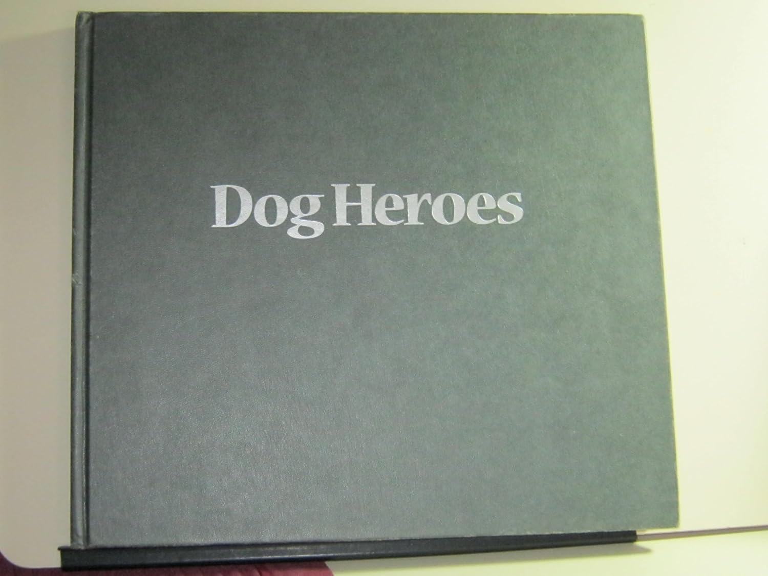 Dog Heroes: True Stories About Extraordinary Animals Around the World ...