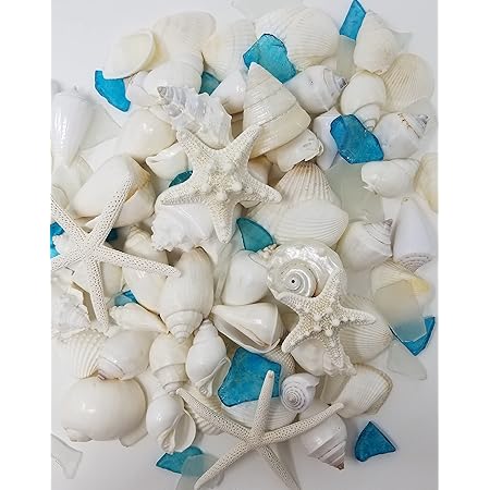 Amazon.com: Real Mixed Beach Seashells with Blue & Green Starfish ...