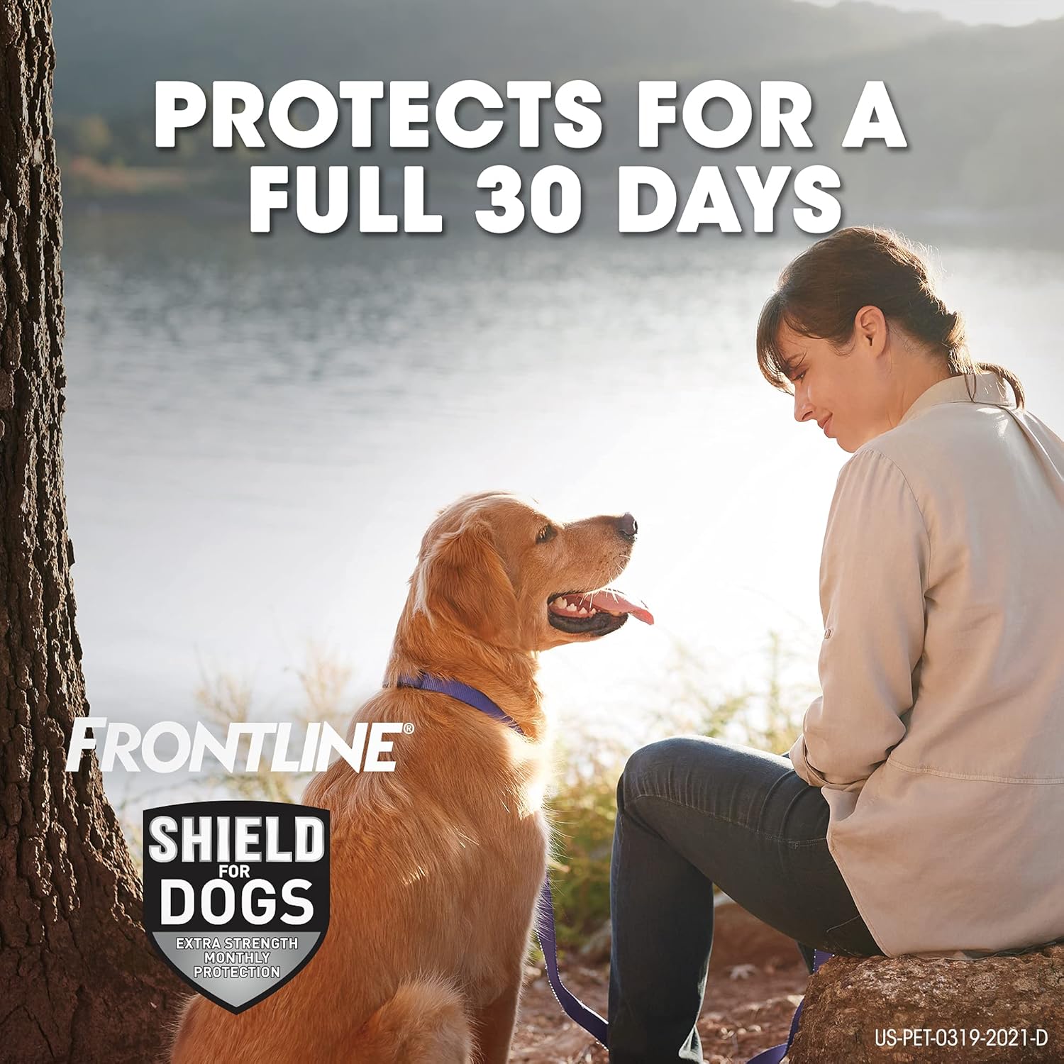 Buy FRONTLINE Shield for Dogs 3-in-1 Flea and Tick Treatment (Medium ...