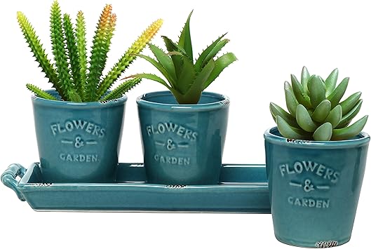 Amazon.com : MyGift® Farmhouse Turquoise Ceramic Mini Plant Pot Set ...