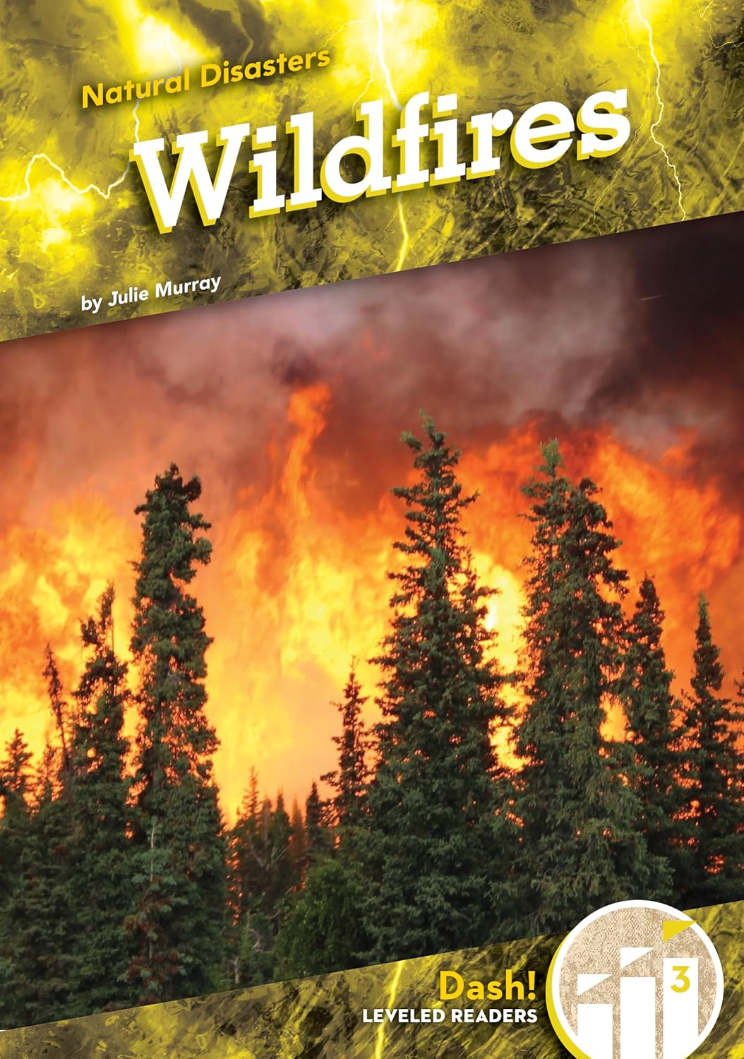 Wildfires (Natural Disasters): Murray, Julie: 9781098285548: Amazon.com ...
