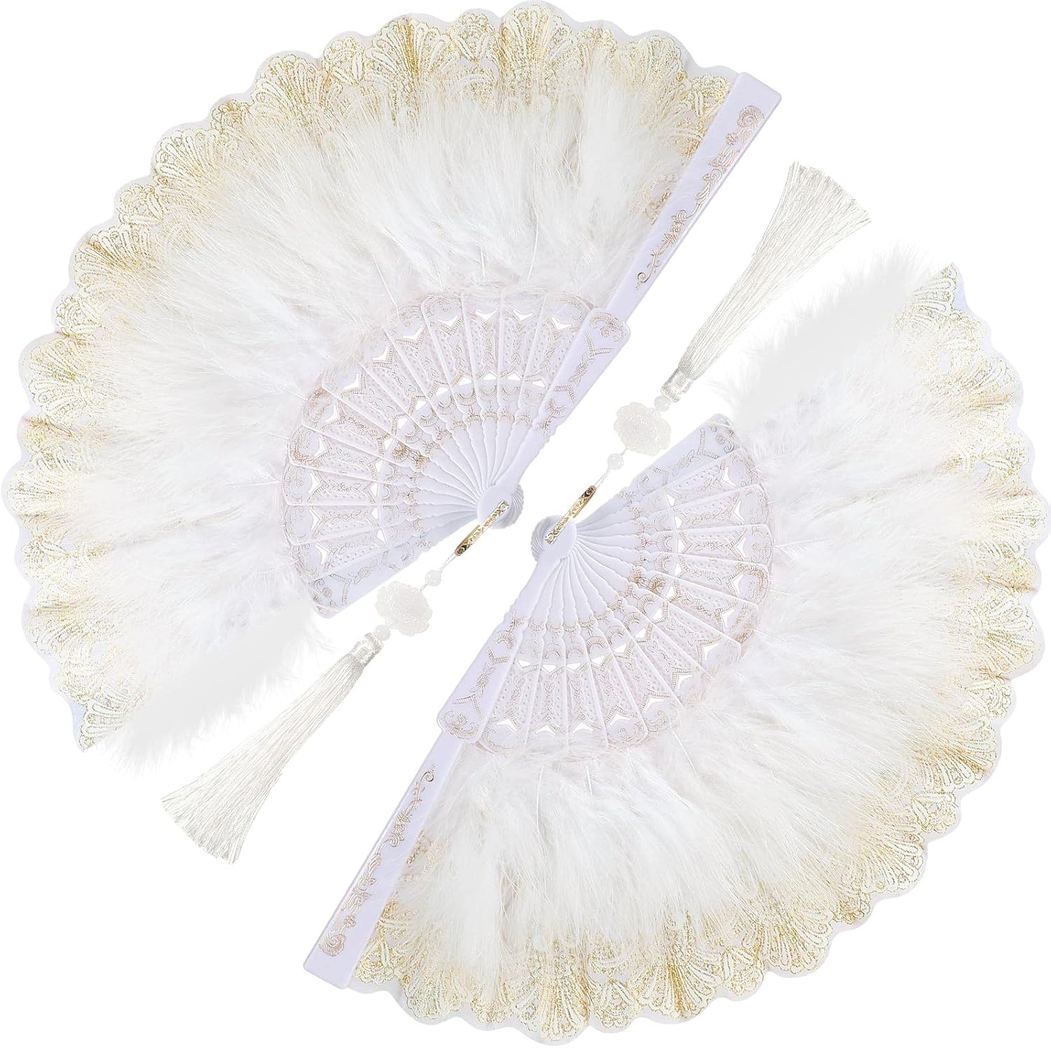 Amazon.com: Namalu 2 Pieces Feather Hand Fan Embroidered Flower Marabou ...