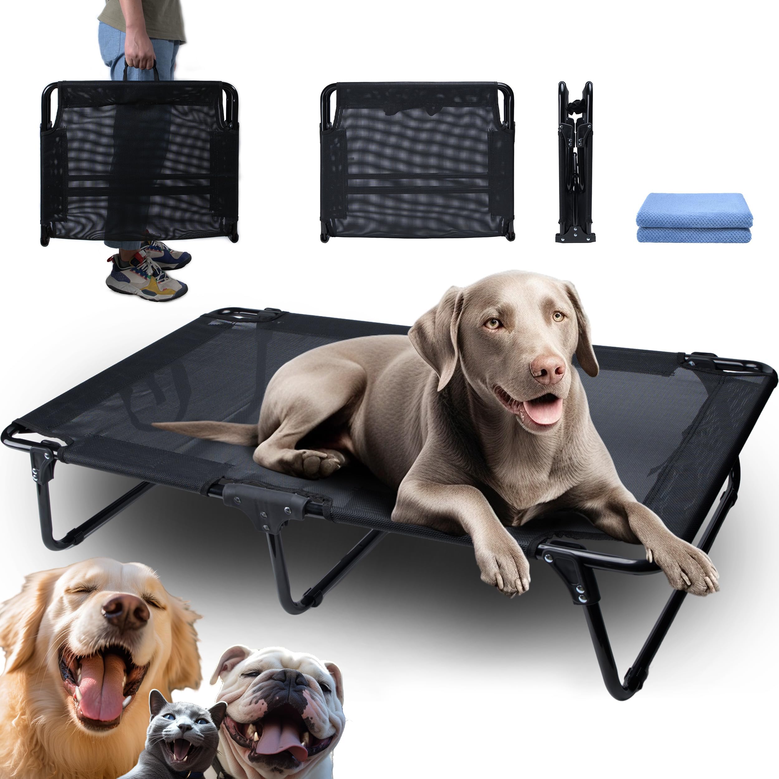 Amazon.com : CULIMIND Elevated Dog Bed - Comfortable Raised Pet Cot ...