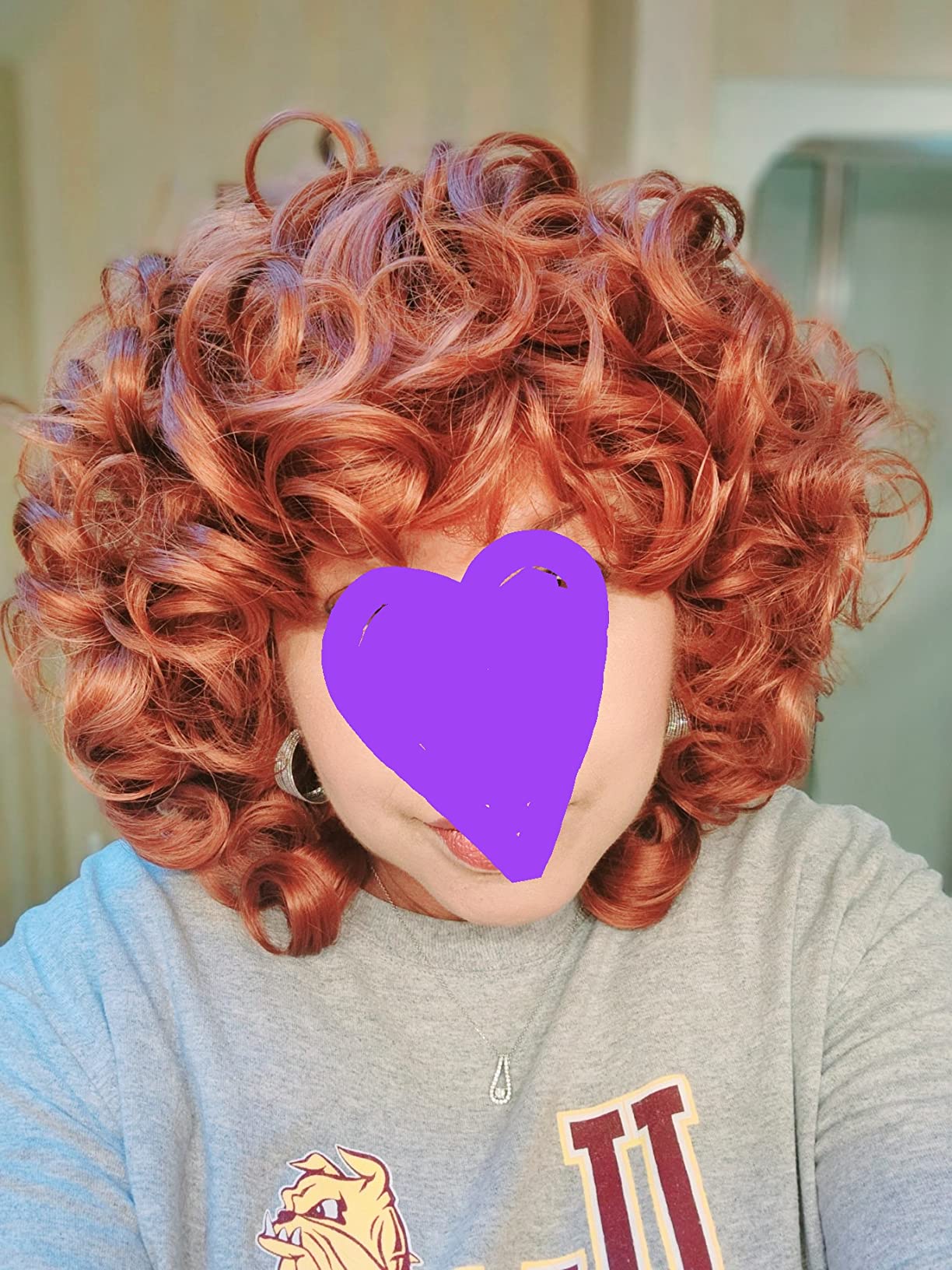 $6/mo - Finance andromeda Curly Wigs for Black Women Brown Short Curly ...