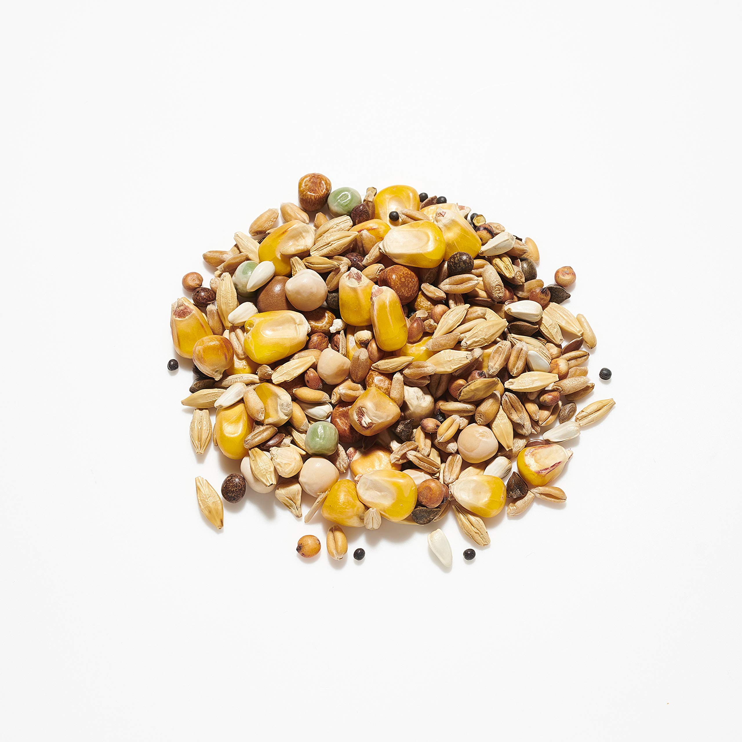 Countrywide All-Rounder Pigeon Feed Mix, 20 kg : Amazon.co.uk: Pet Supplies