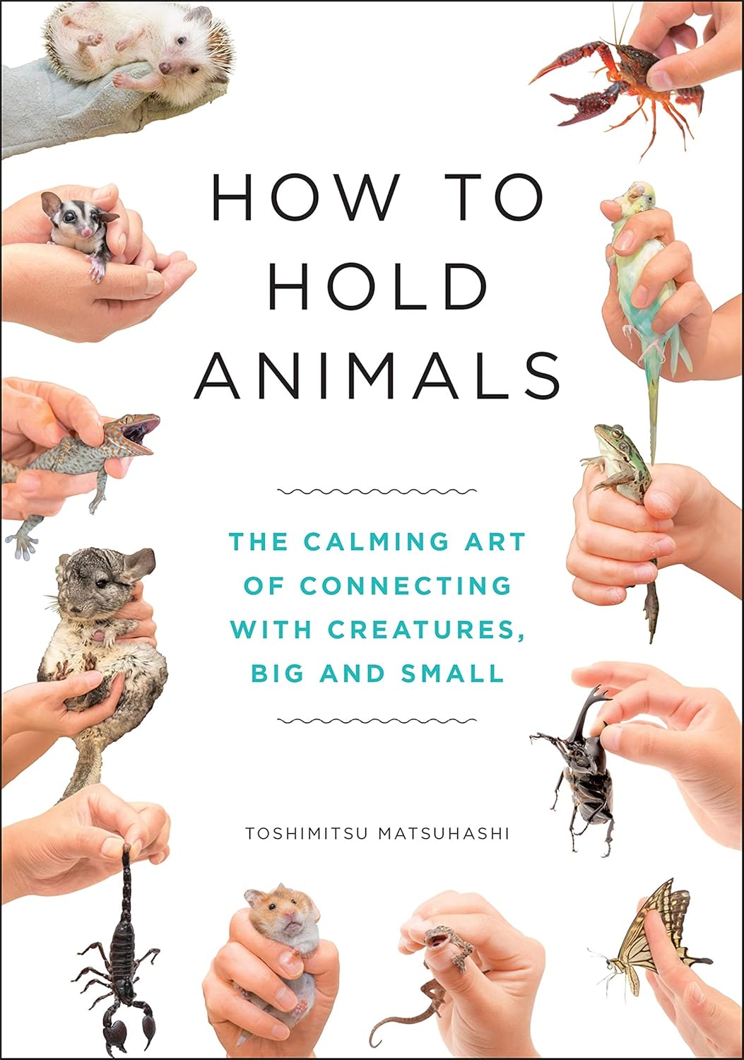 How to Hold Animals: The delightful guide to caring for animals, big ...