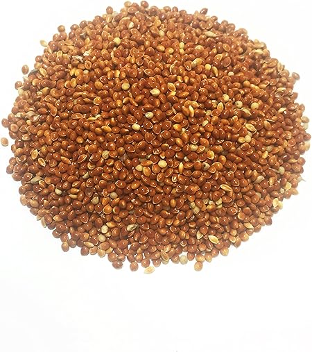 Copdock Mill Red Millet 20Kg : Amazon.co.uk: Garden