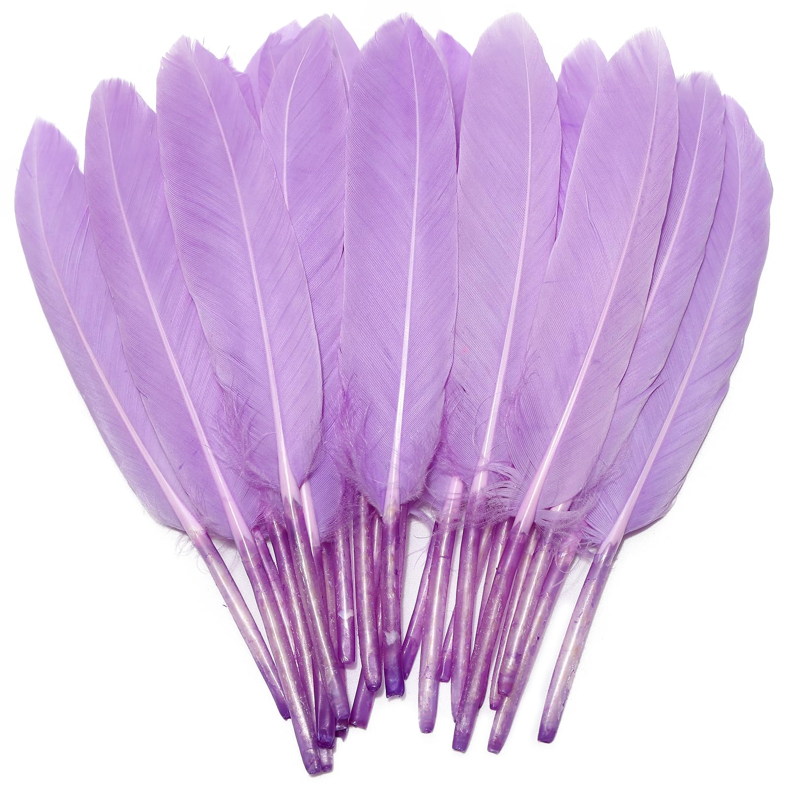 Amazon.com: FeelfunFeather 120pcs Light Purple Goose Cochettes Feather ...