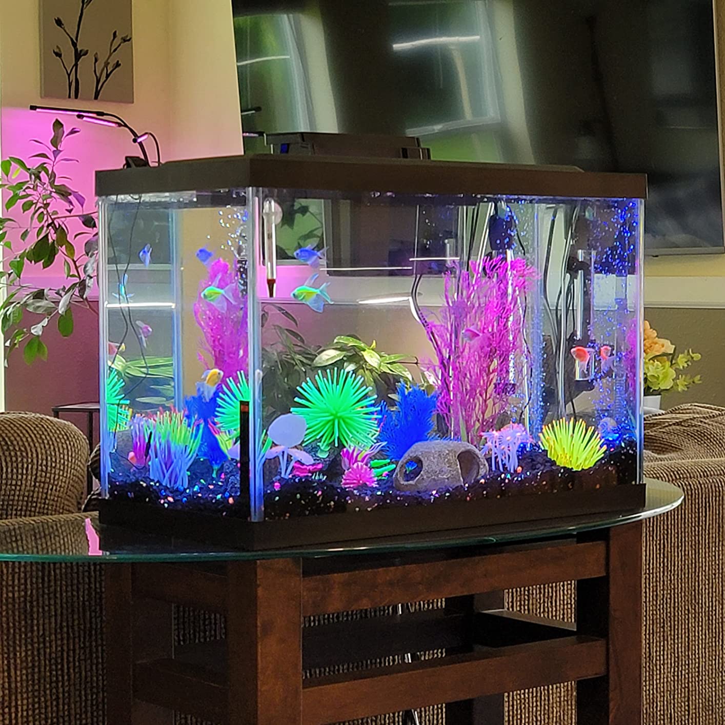 Tetra Aquarium 20 Gallon Fish Tank Kit at Gabrielle Trouton blog