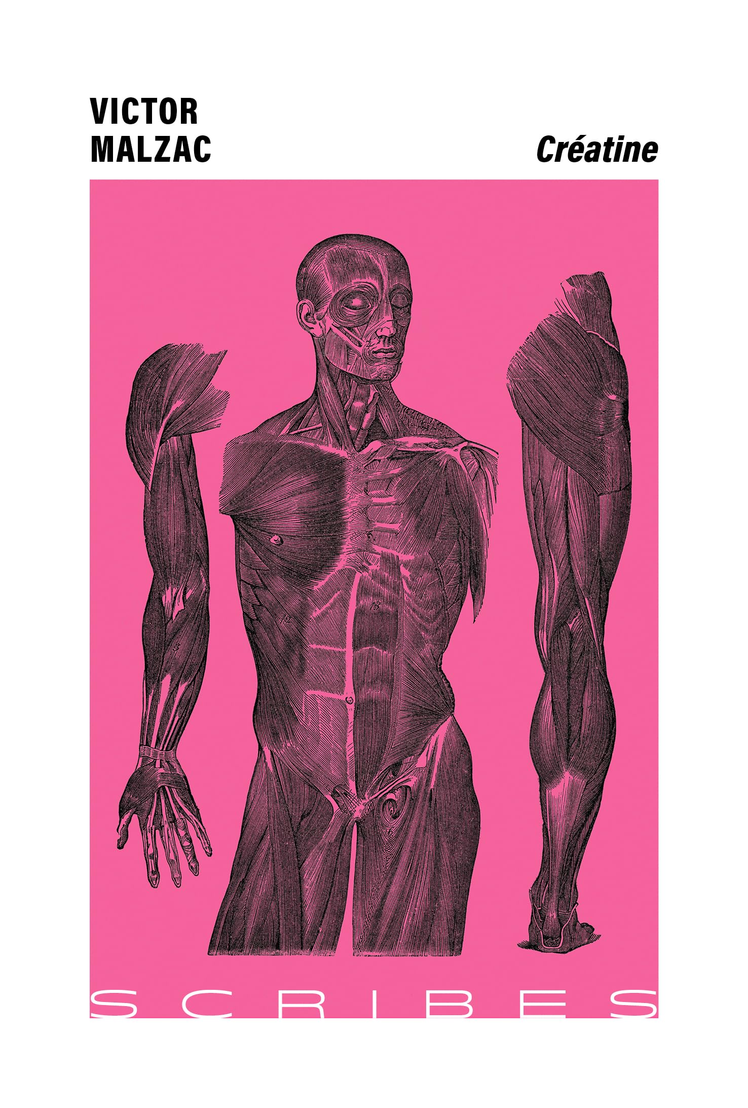 Créatine : Malzac, Victor: Amazon.es: Libros