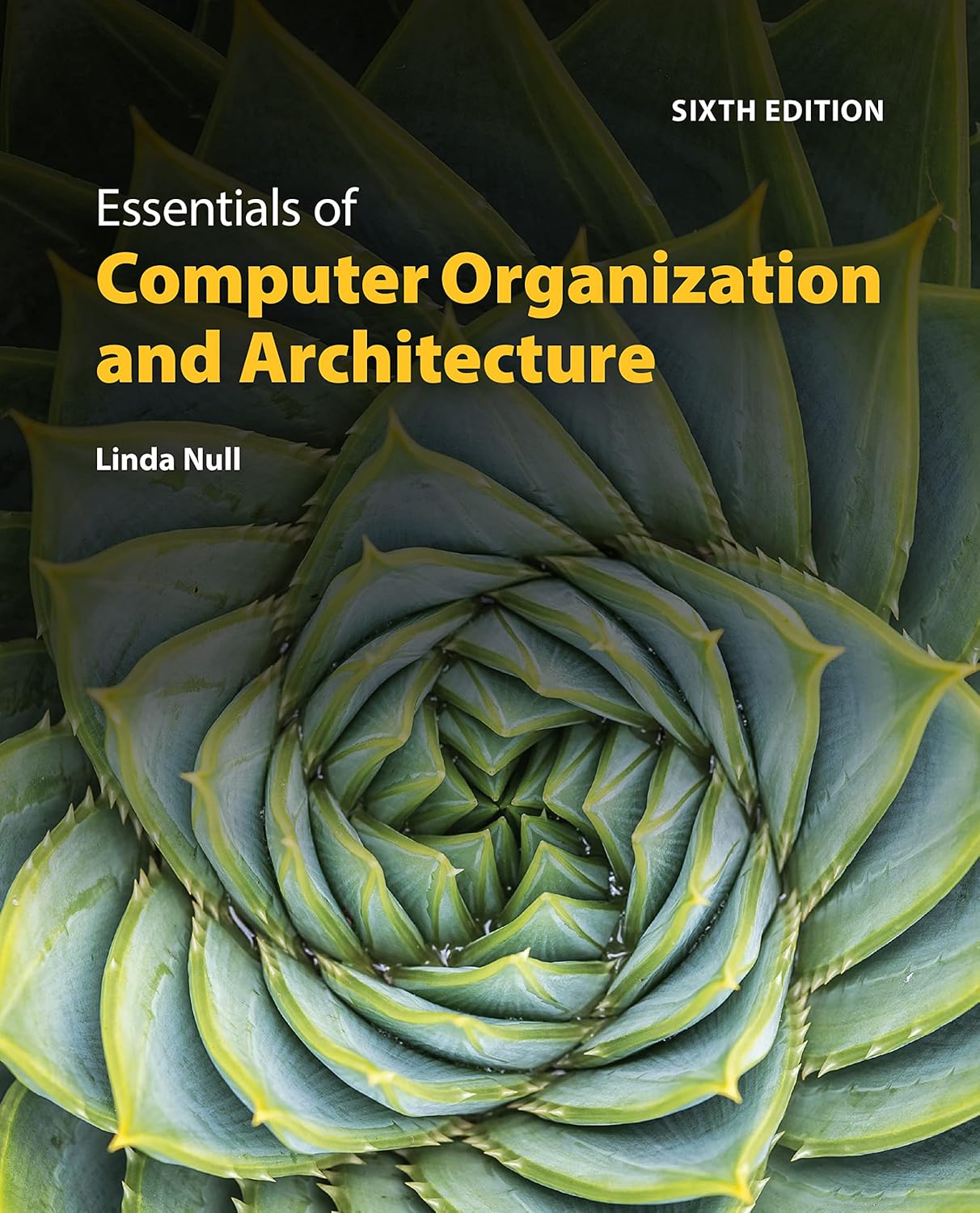 Amazon.com: Essentials of Computer Organization and Architecture with ...