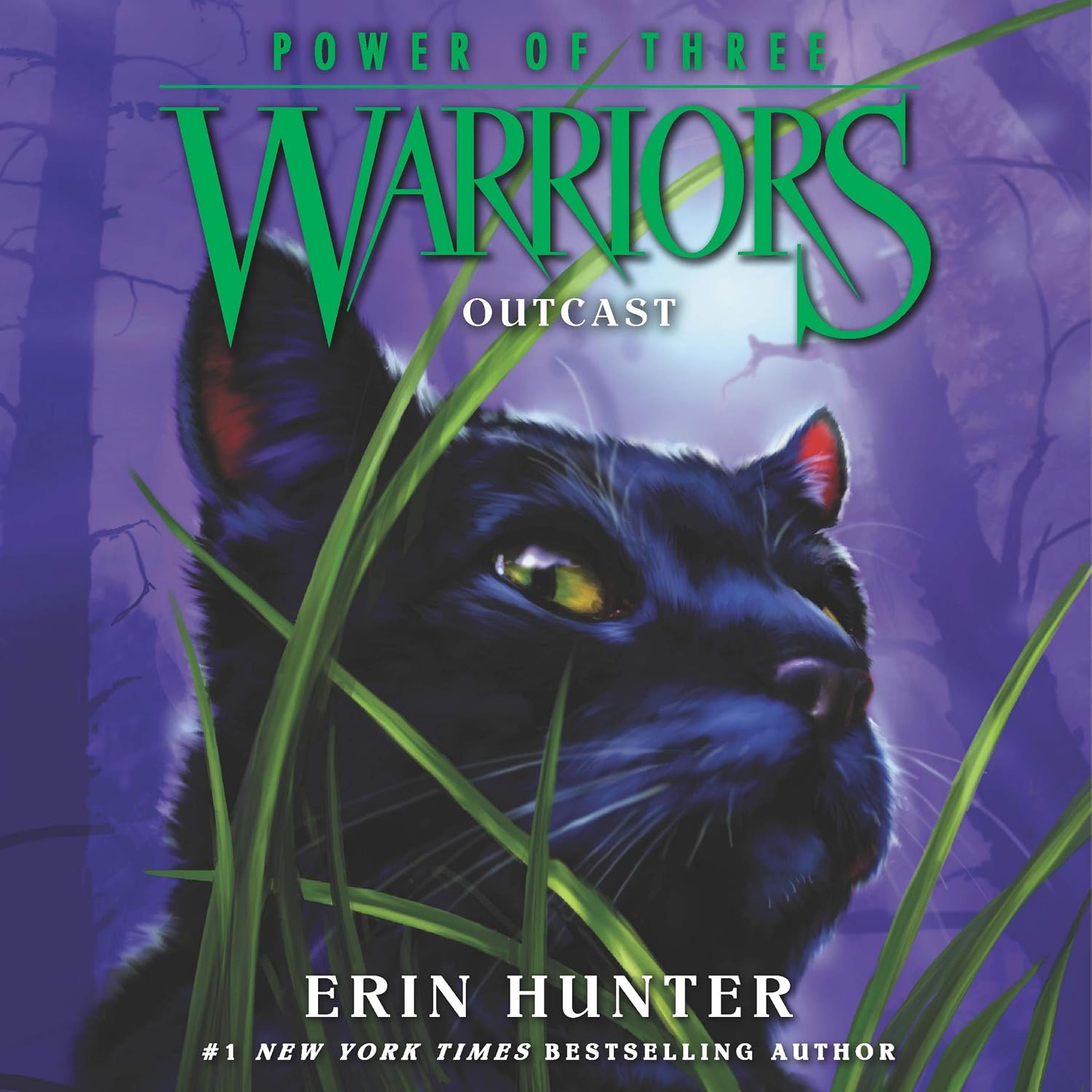 Warriors: Power of Three #3: Outcast (The Warriors: Power of Three ...