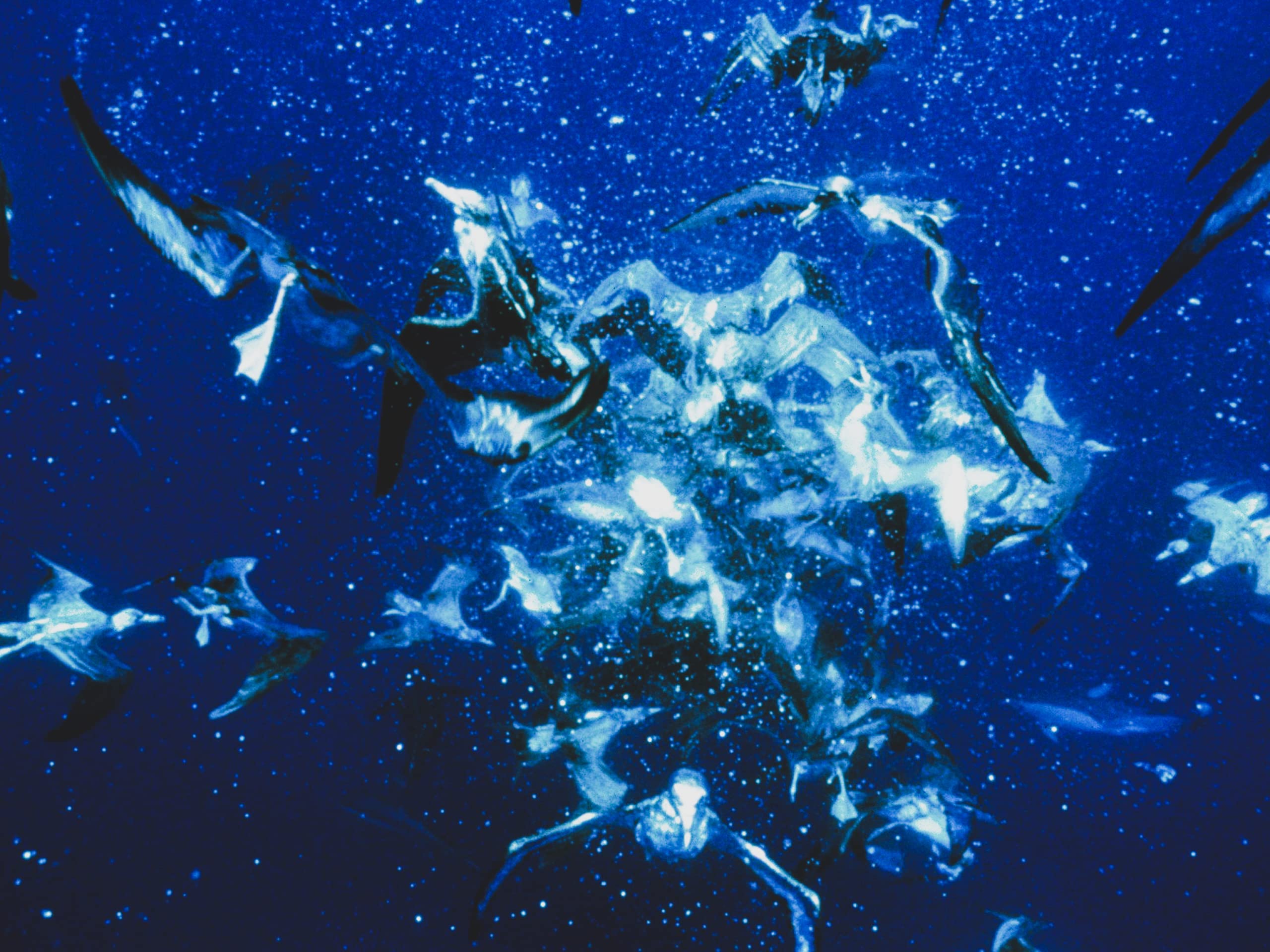 Amazon.de: The Blue Planet - Season 1 ansehen | Prime Video