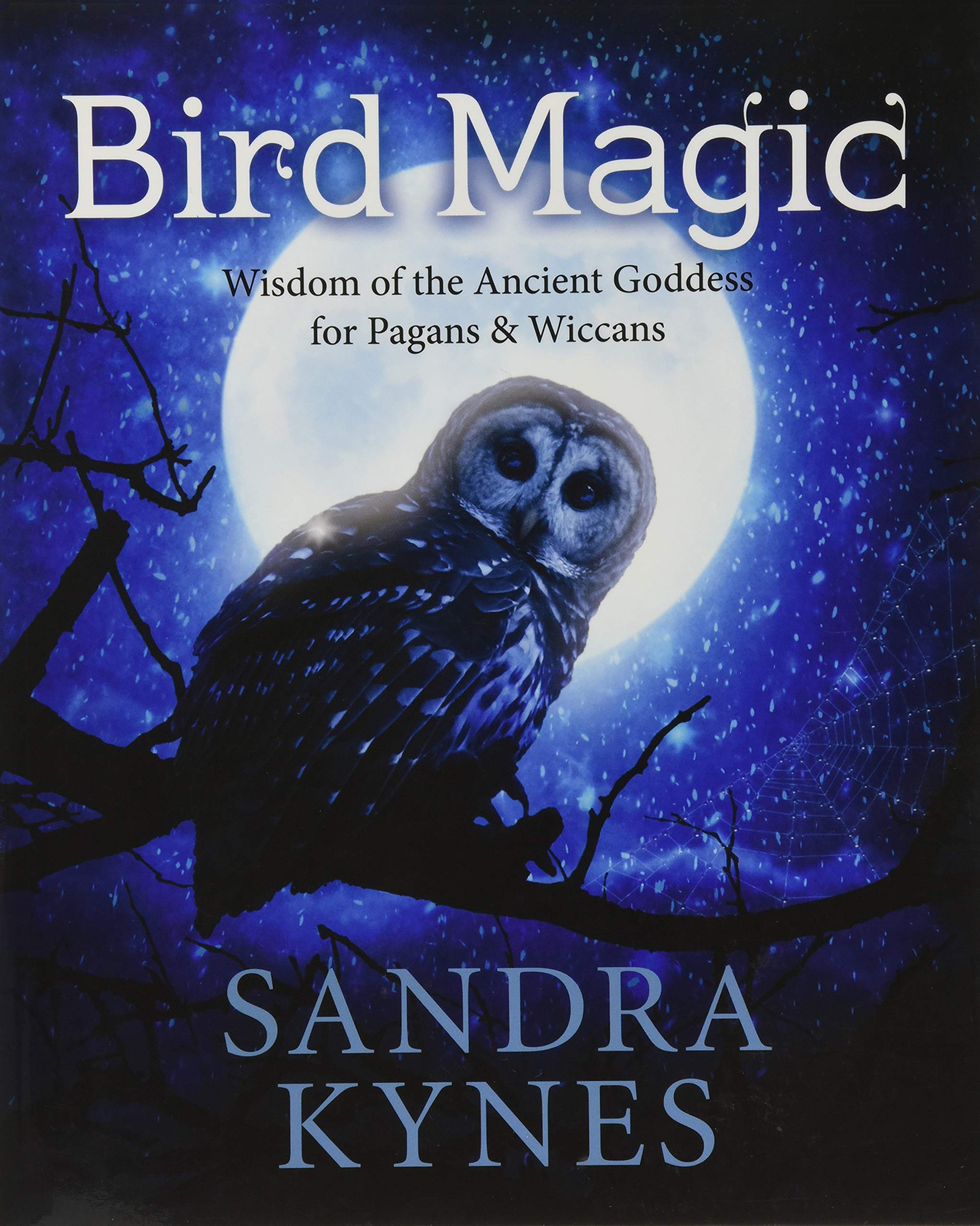 Amazon.com: Bird Magic: Wisdom of the Ancient Goddess for Pagans ...