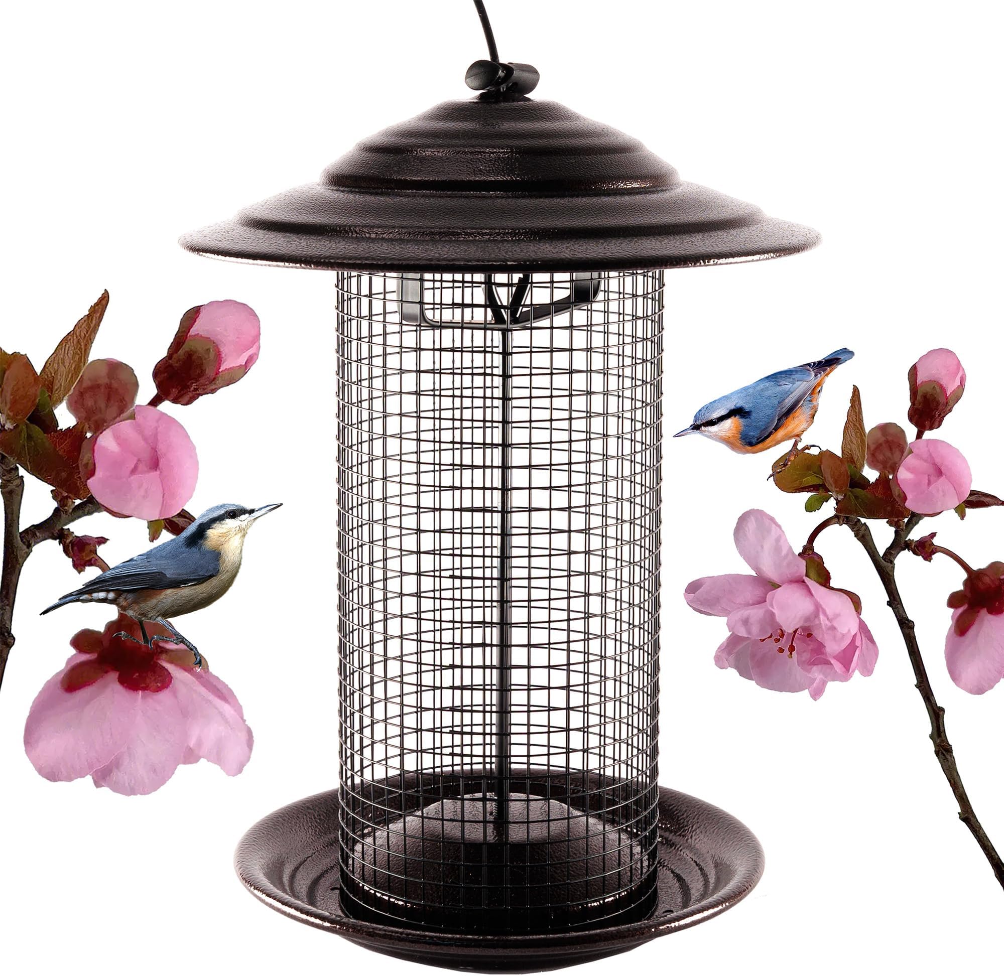 Amazon.com : Zenport Z203010 Hanging Bird Seed Screen Feeder, Green ...