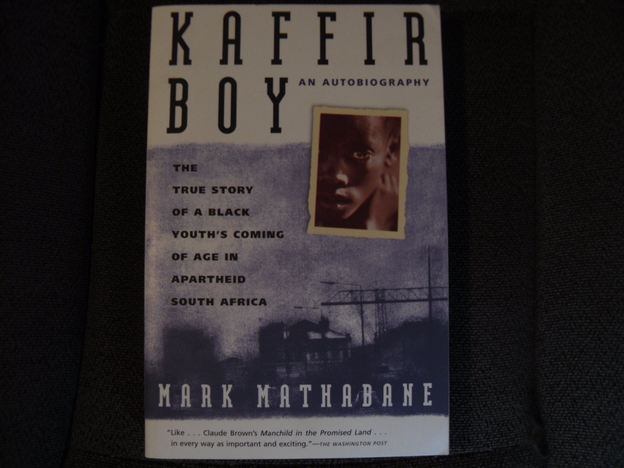 Kaffir Boy Suffering Quotes