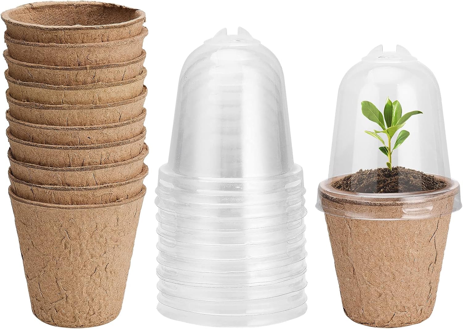 Amazon.com: Peat Pots 10pcs Biodegradable Planter Nursery Pots Recycled ...