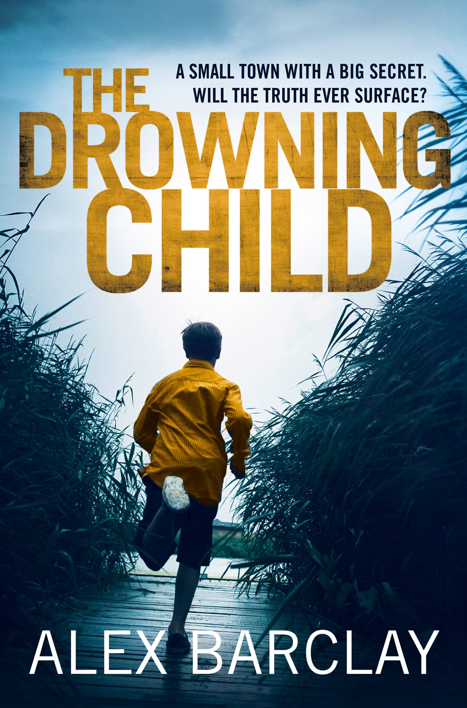 THE DROWNING CHILD : Barclay, Alex: Amazon.co.uk: Books