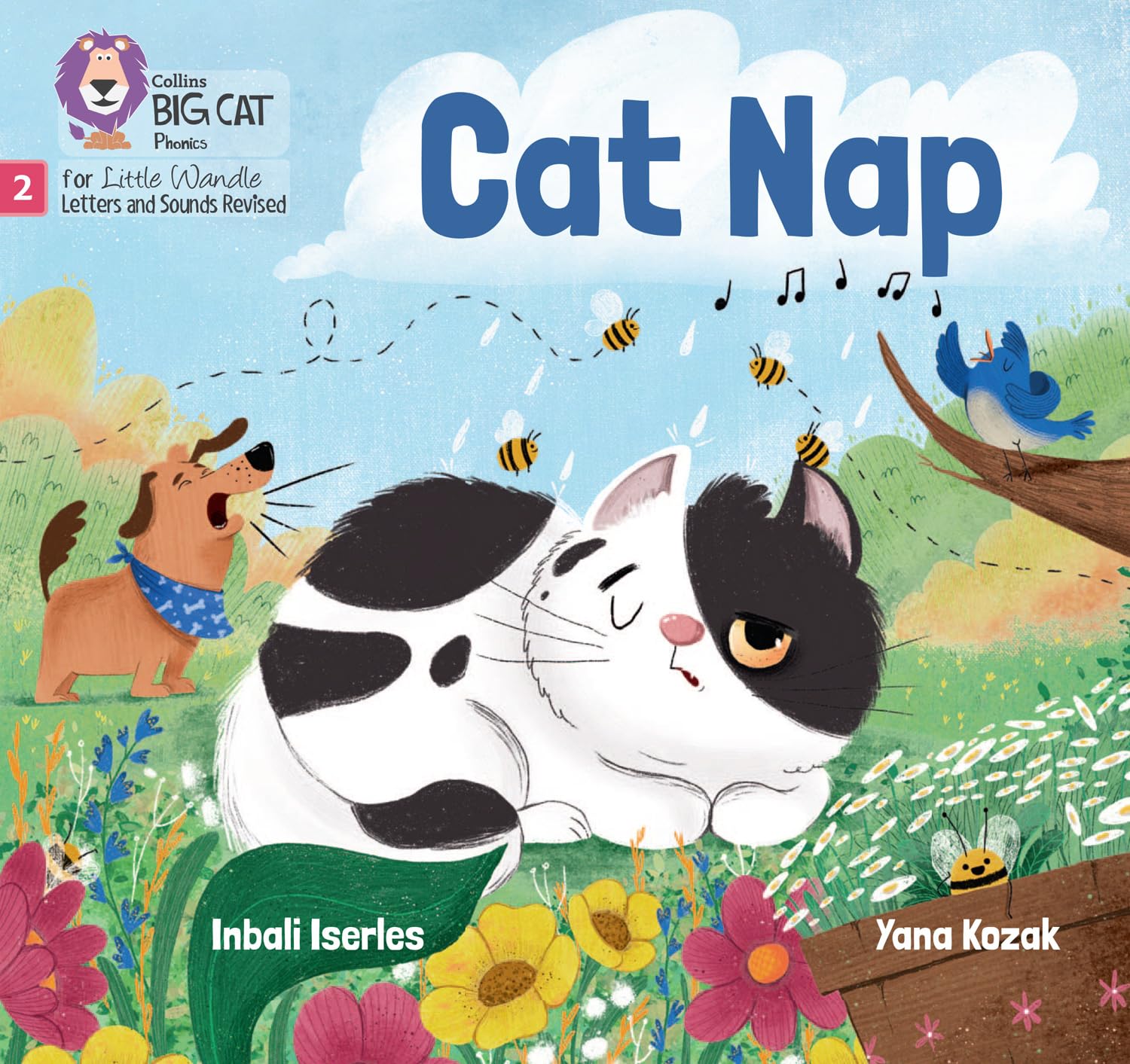 Amazon | Cat Nap: Phase 2 Set 3 (Big Cat Phonics for Little Wandle ...