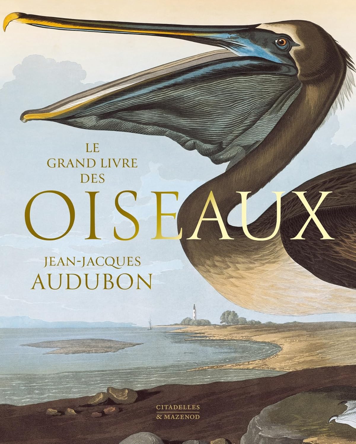 Amazon.com: LE GRAND LIVRE DES OISEAUX: JEAN-JACQUES AUDUBON ...