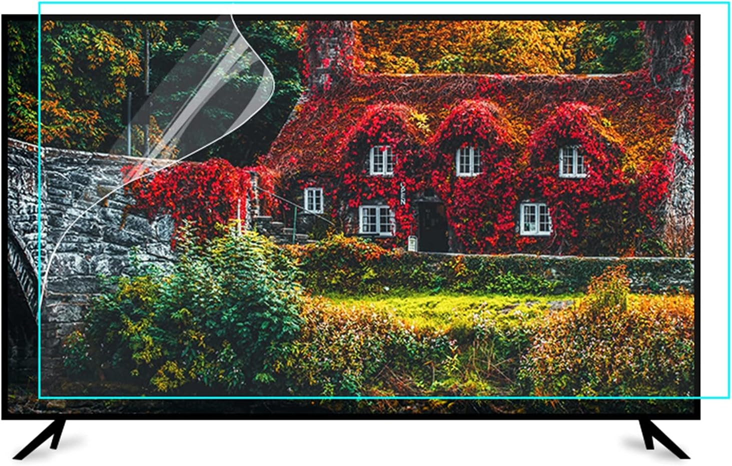 Amazon.com: Vizomax 65 inch TV Screen Protector for LCD, LED, OLED ...