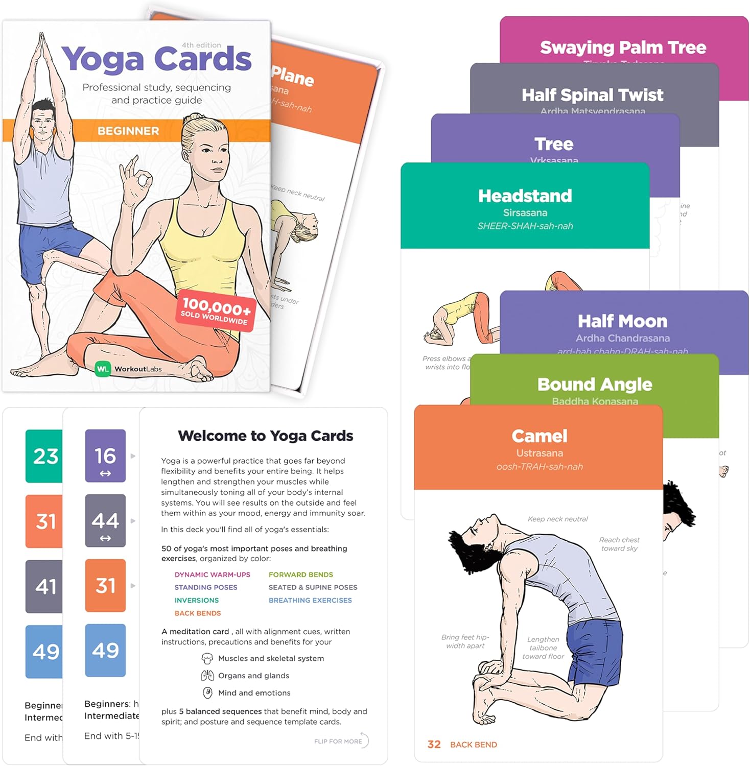 Amazon.com: WorkoutLabs Yoga Cards – Beginner: Visual Study, Class ...