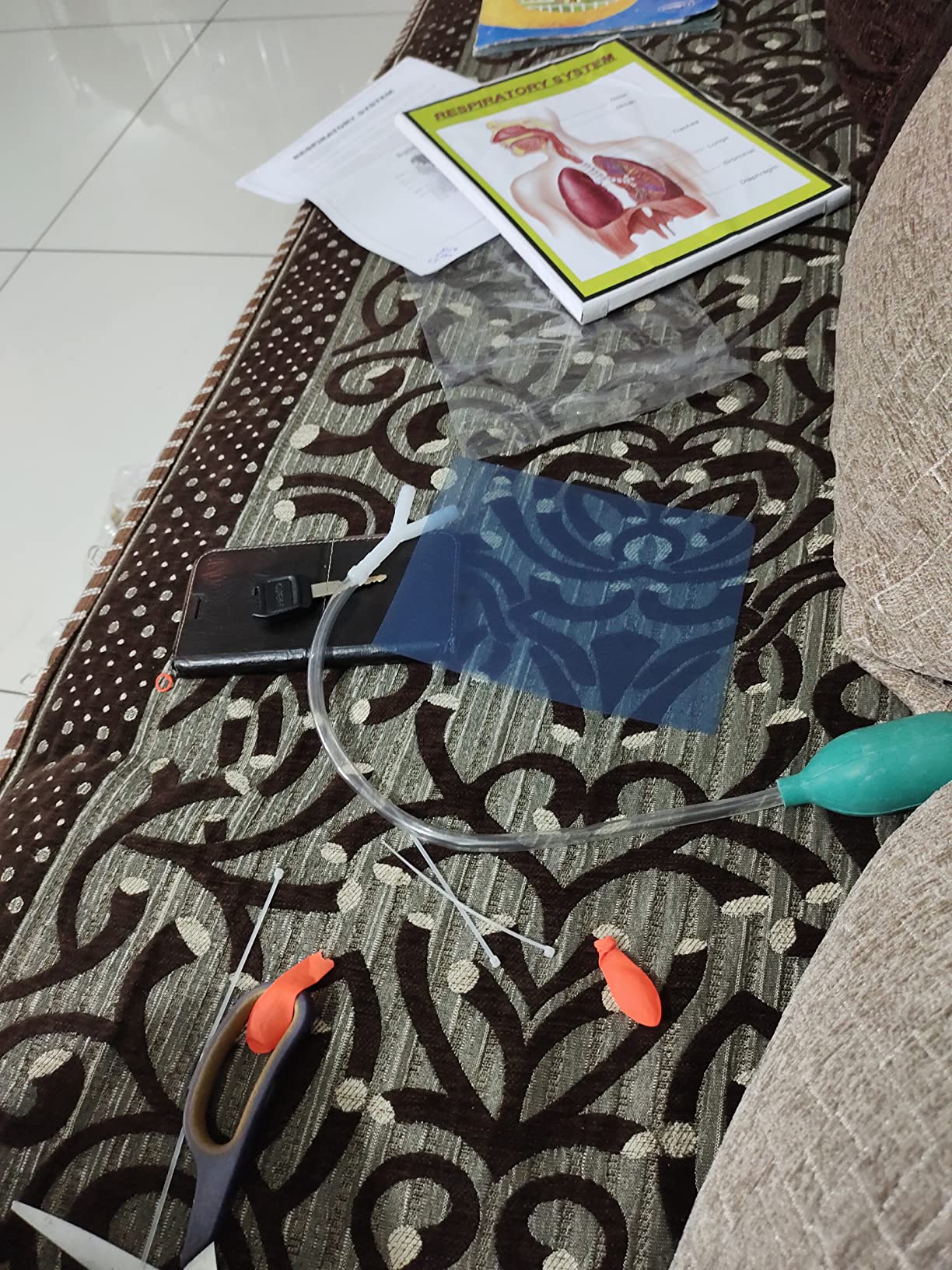 Buy ProjectsforSchool Working Model of Lungs Biology Science Experiment ...