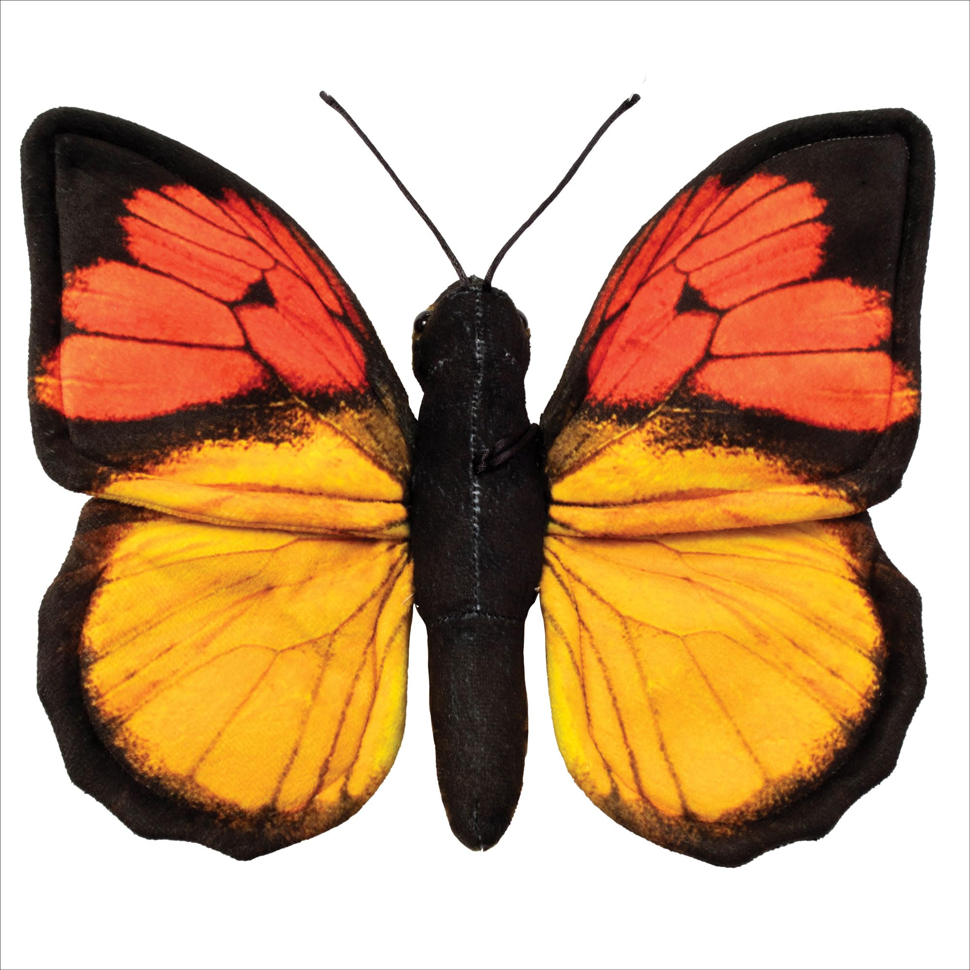 Amazon.com: Real Planet 11" Butterfly Stuffed Animal - Realistic ...