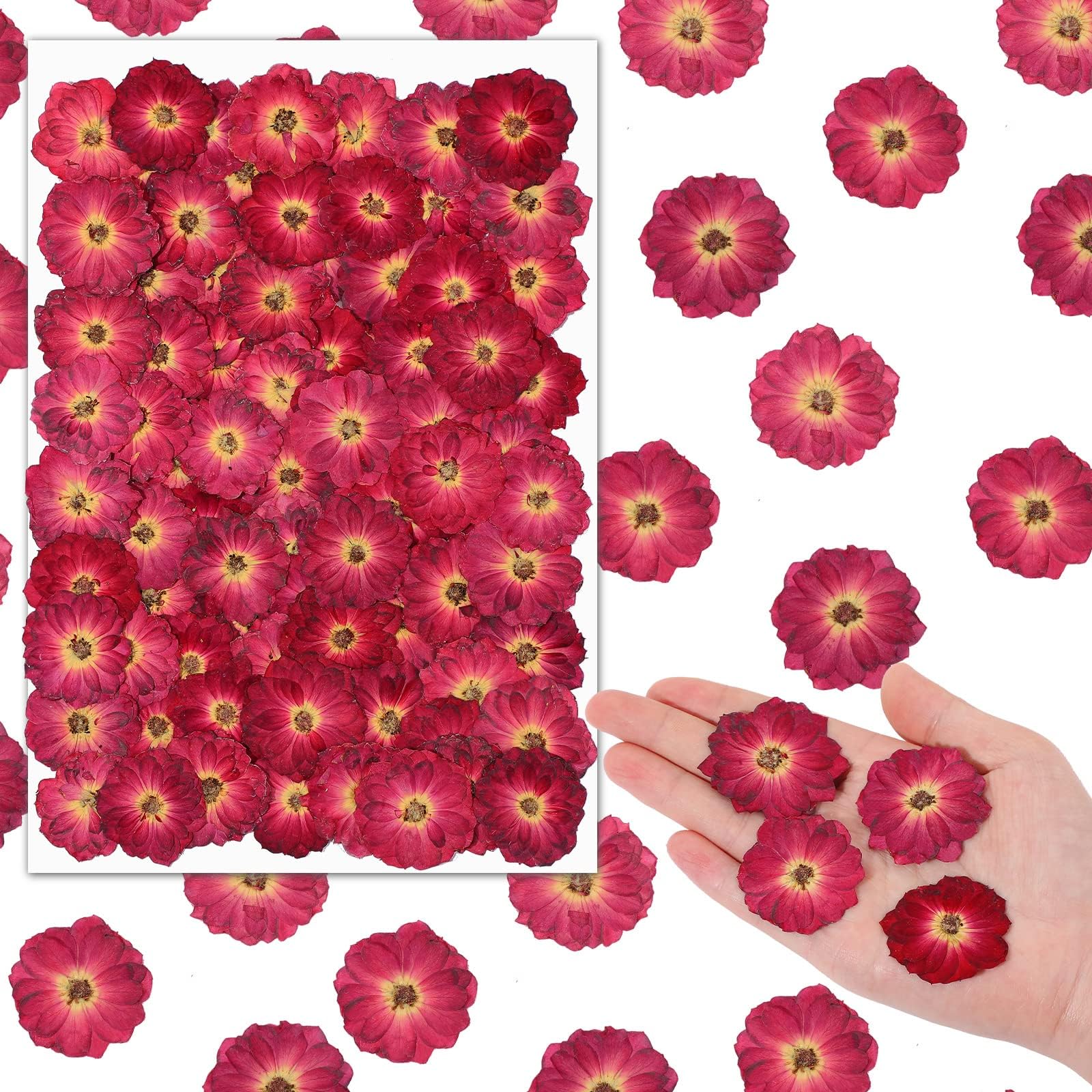 Amazon.com: Natural Pressed Dried Flowers for Resin, 60PCS Real Dry ...