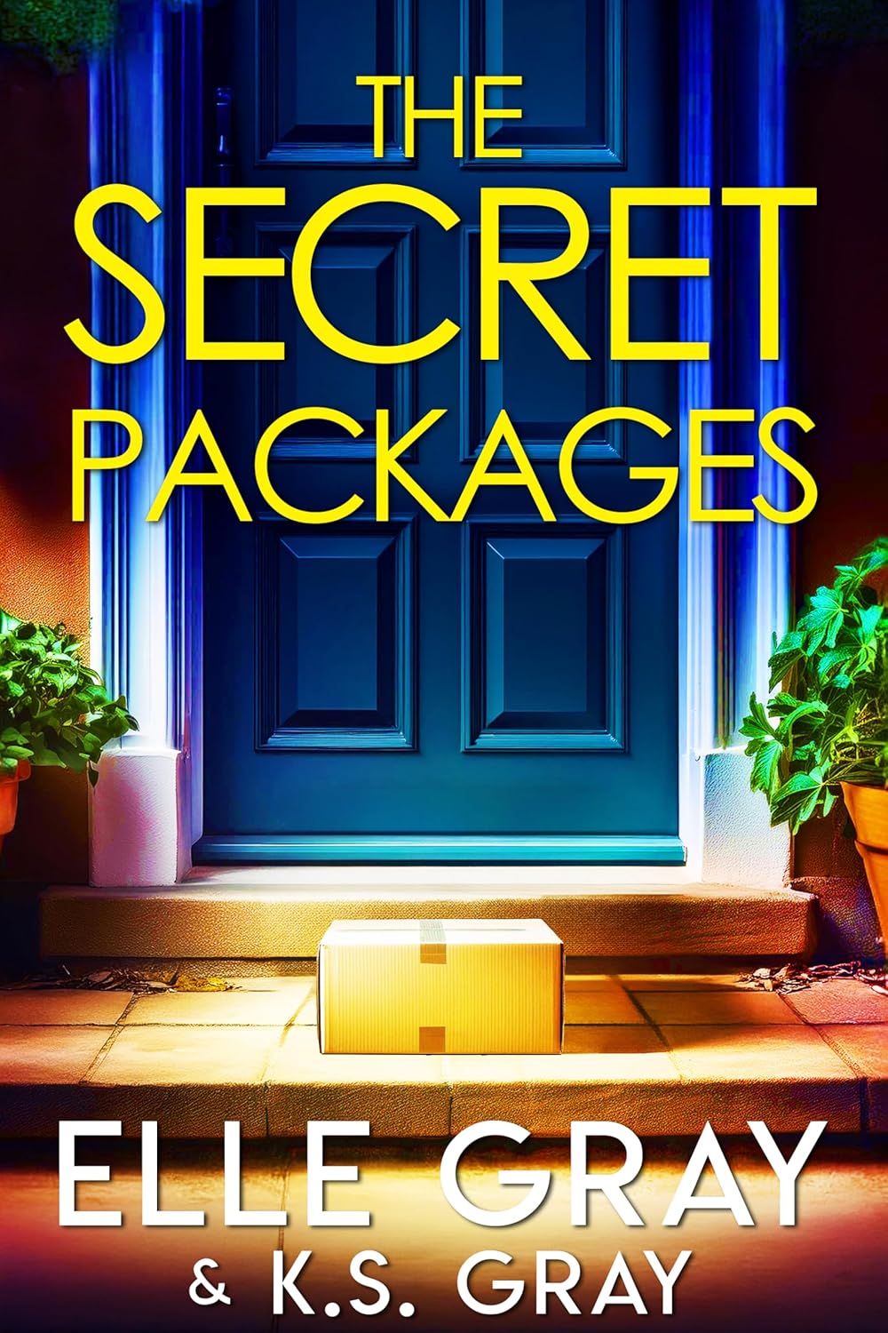 Amazon.com: The Secret Packages (A Serenity Springs Mystery Series Book ...