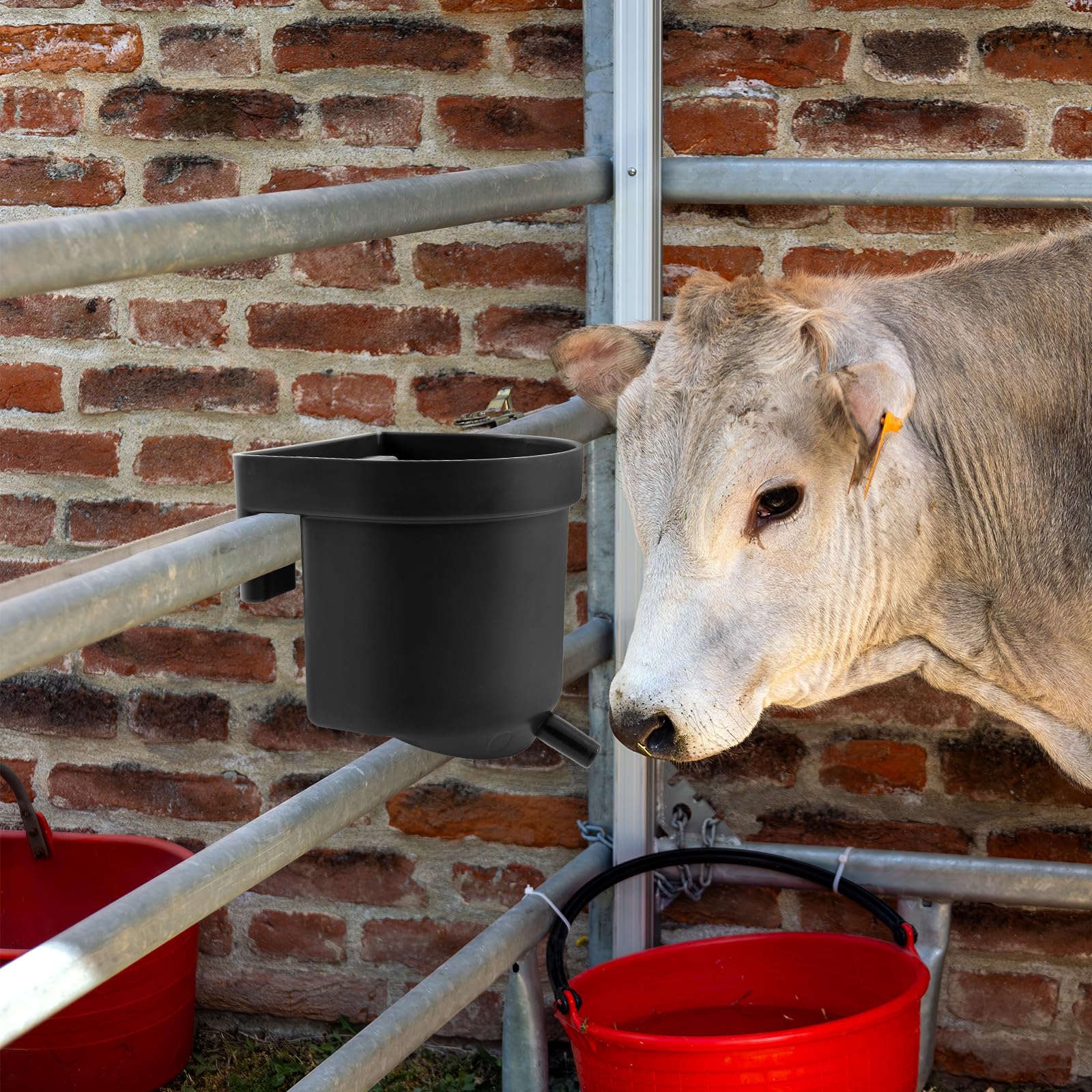 Cattle Feed Buckets