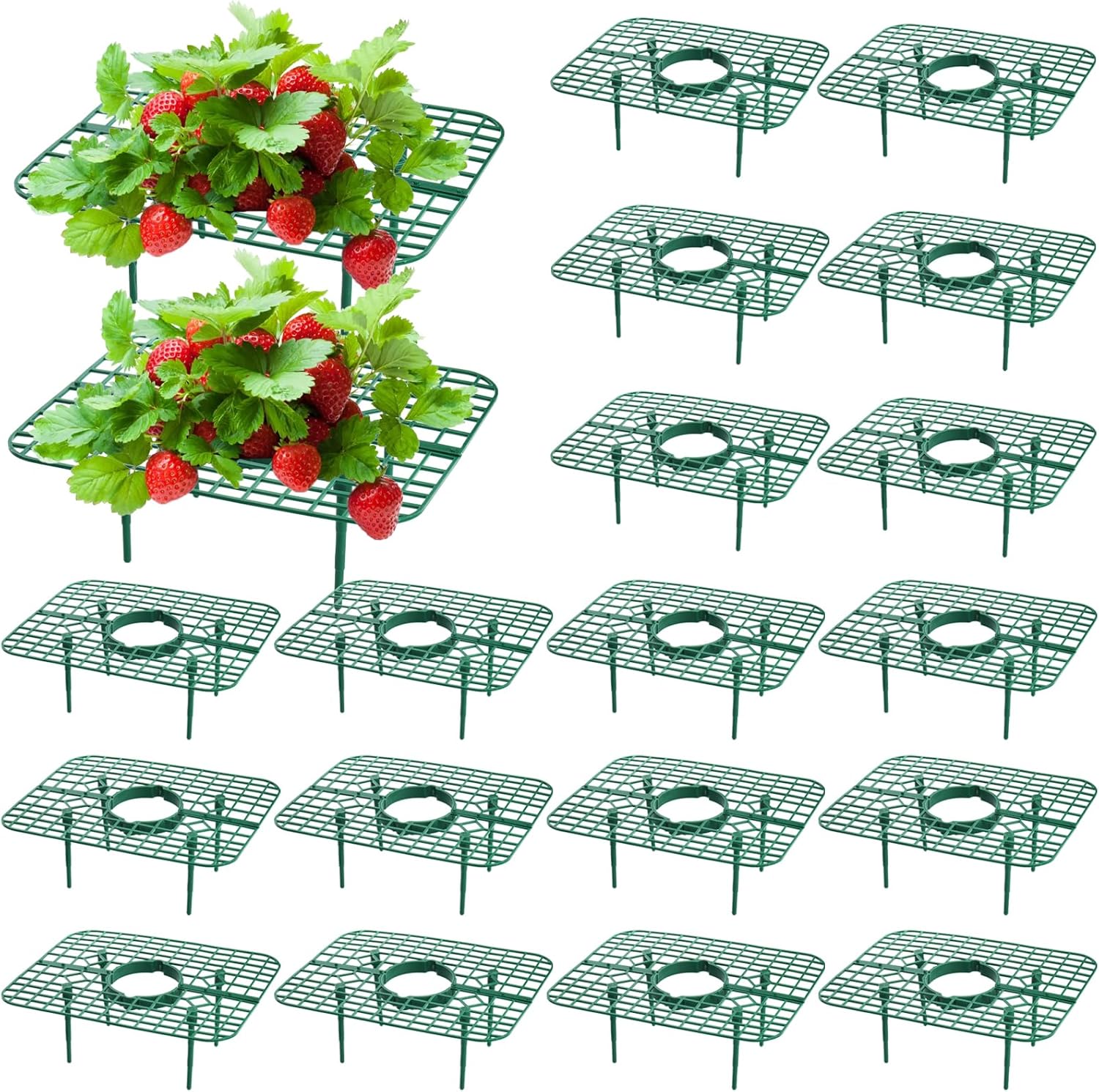 Amazon.com: Pumtus 20 Pack Square Strawberry Supports, Strawberry ...
