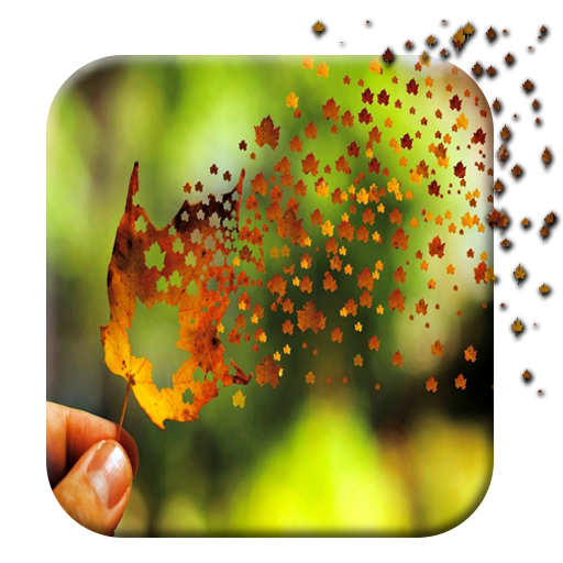 Autumn Wallpapers - Fall Leaf - App on Amazon Appstore