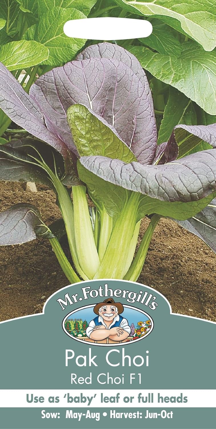 Mr Fothergills - Pictorial Packet - Vegetable - Pak Choi Red Choi F1 ...
