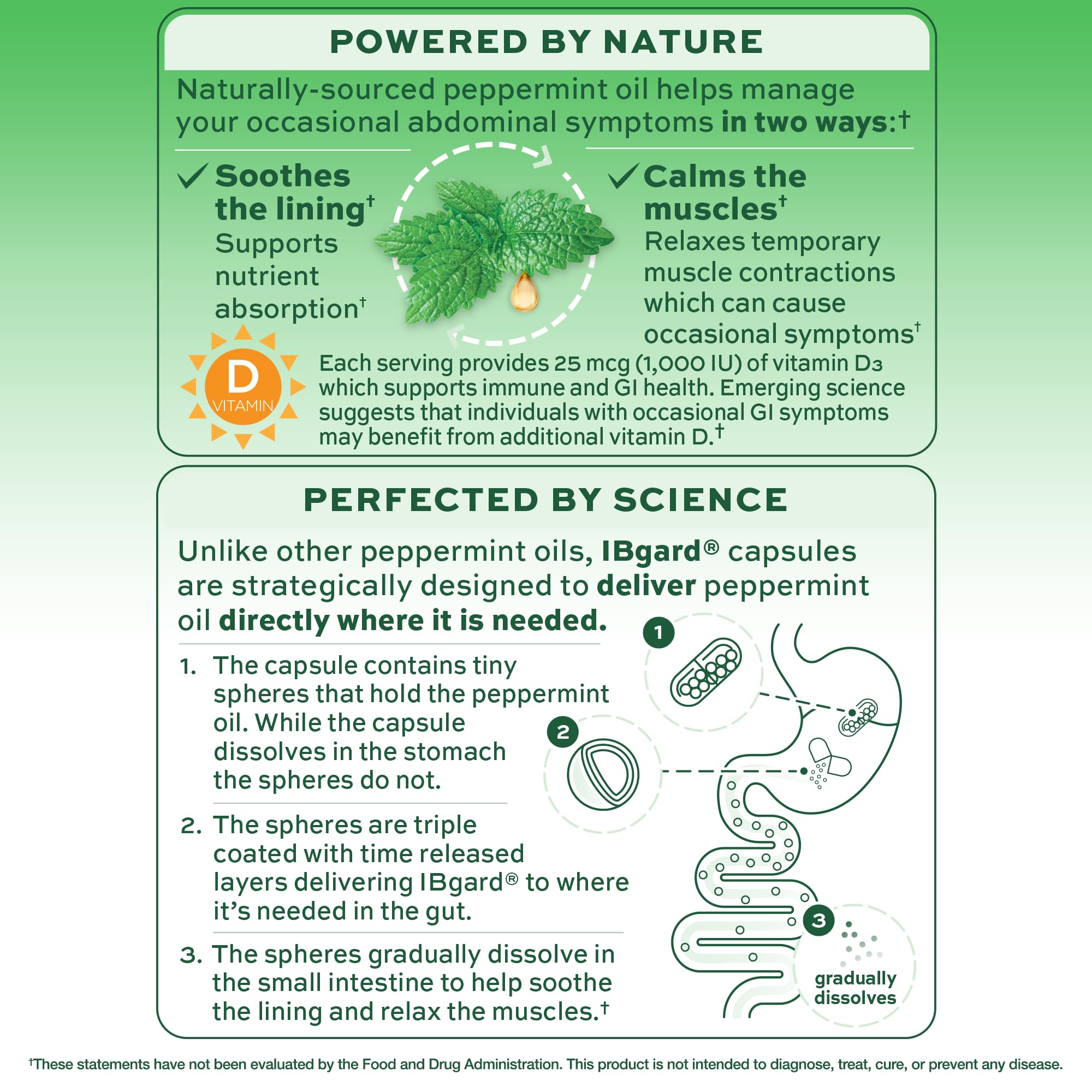 Snapklik.com : IBgard