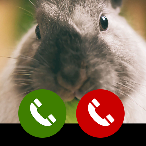 Fake call from Cute bunny - App on Amazon Appstore