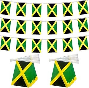 Amazon.com: TSMD 2 Packs Jamaica Flag Banner Jamaican Flags String ...