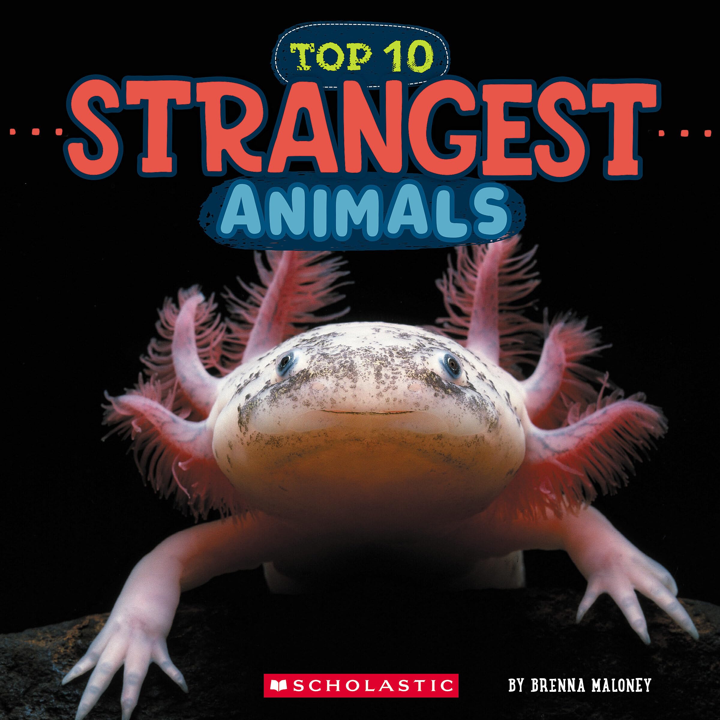 Top 100 Strange Animals THE WORLD'S STRANGEST AND RAREST ANIMALS: