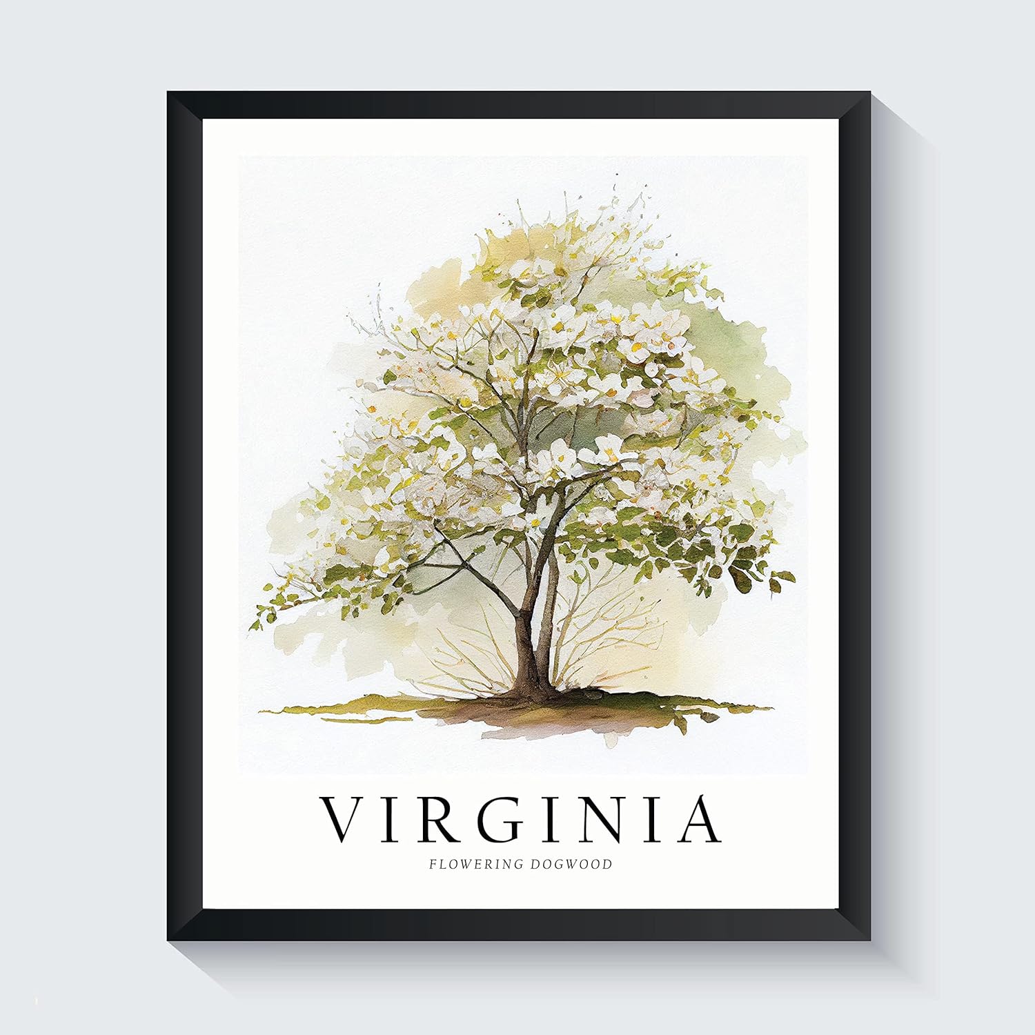 Amazon.com: Virginia State Tree Art Print, Virginia Poster Wall art ...