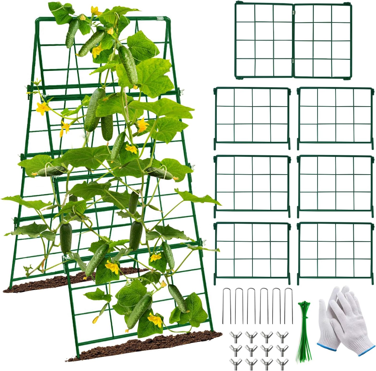 Amazon.com : Cucumber Trellis for Raised Garden Bed, Easy-to-Assemble ...
