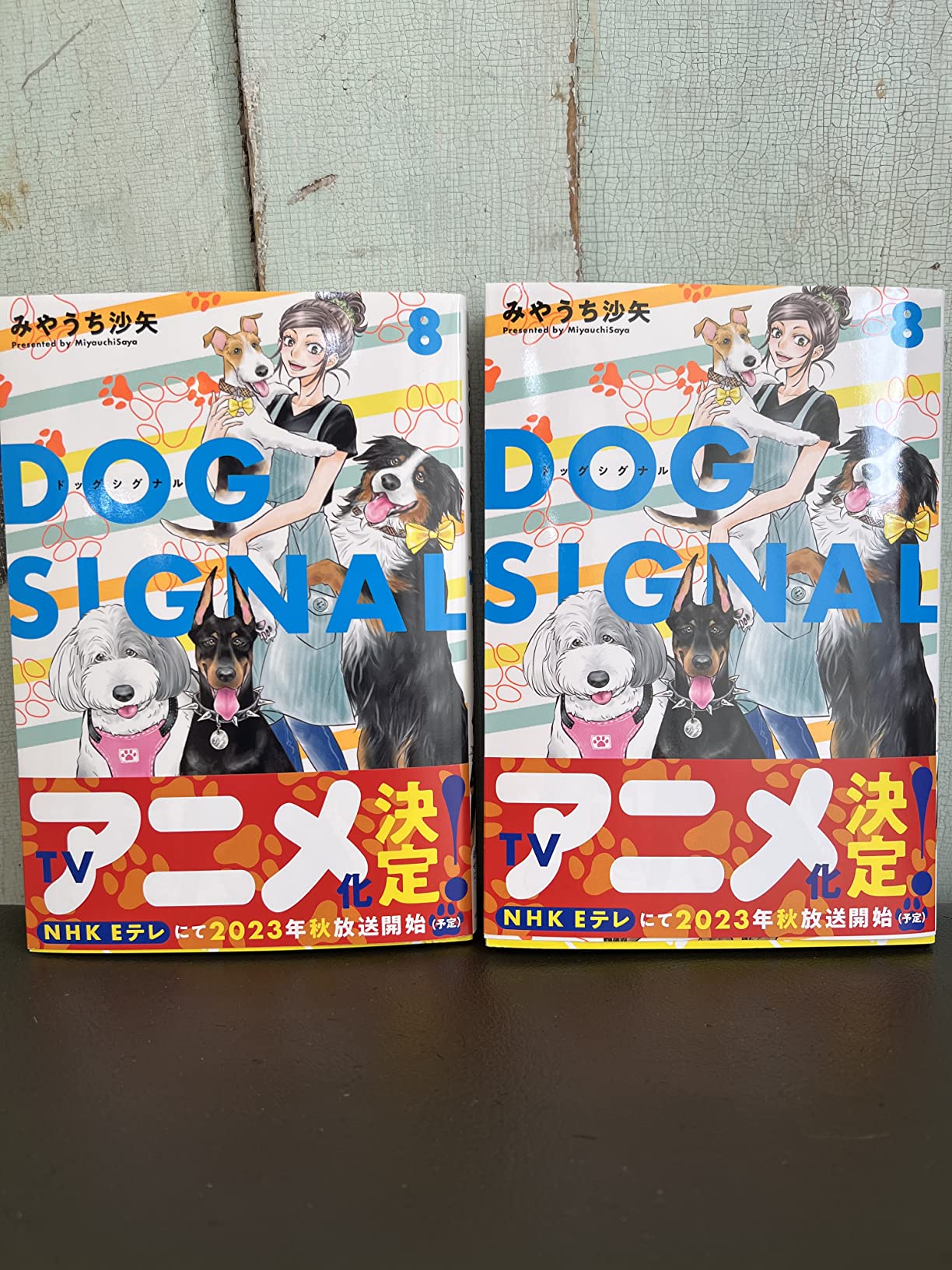 Amazon.co.jp: DOG SIGNAL 8 (BRIDGE COMICS) : みやうち 沙矢: 本