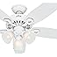 Hunter 59262 Contemporary Cassius Matte Silver Ceiling Fan, 52in (Renewed)