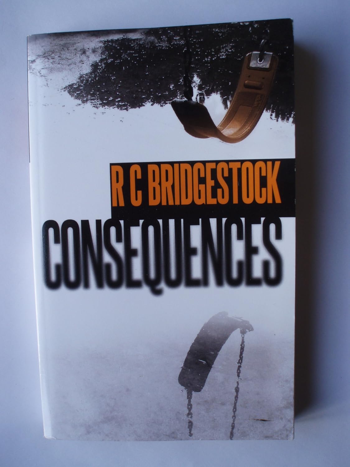 Consequences (D.I. Dylan): Bridgestock, RC: 9781907565168: Amazon.com ...