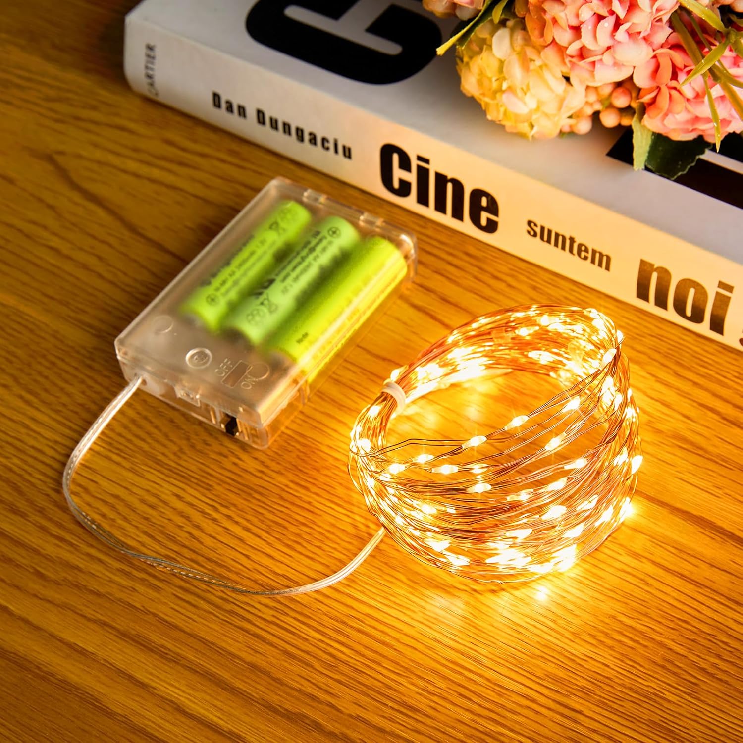 Minetom Fairy String Lights, 33Ft 100 LED Mini Battery Operated Fairy ...