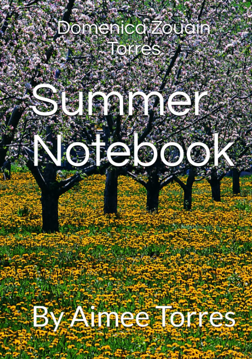Summer Notebook: By Aimee Torres: Zouain Torres, Miss Domenica: Amazon ...