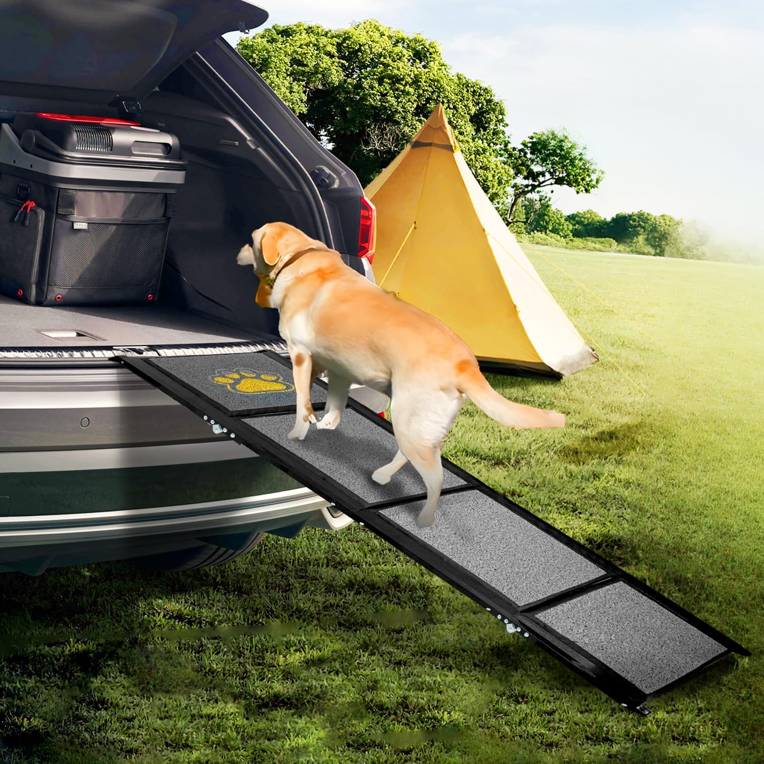 Amazon.com: Wooden Dog Ramp for Bed - 5 Level Adjustable Ramp for Dog ...