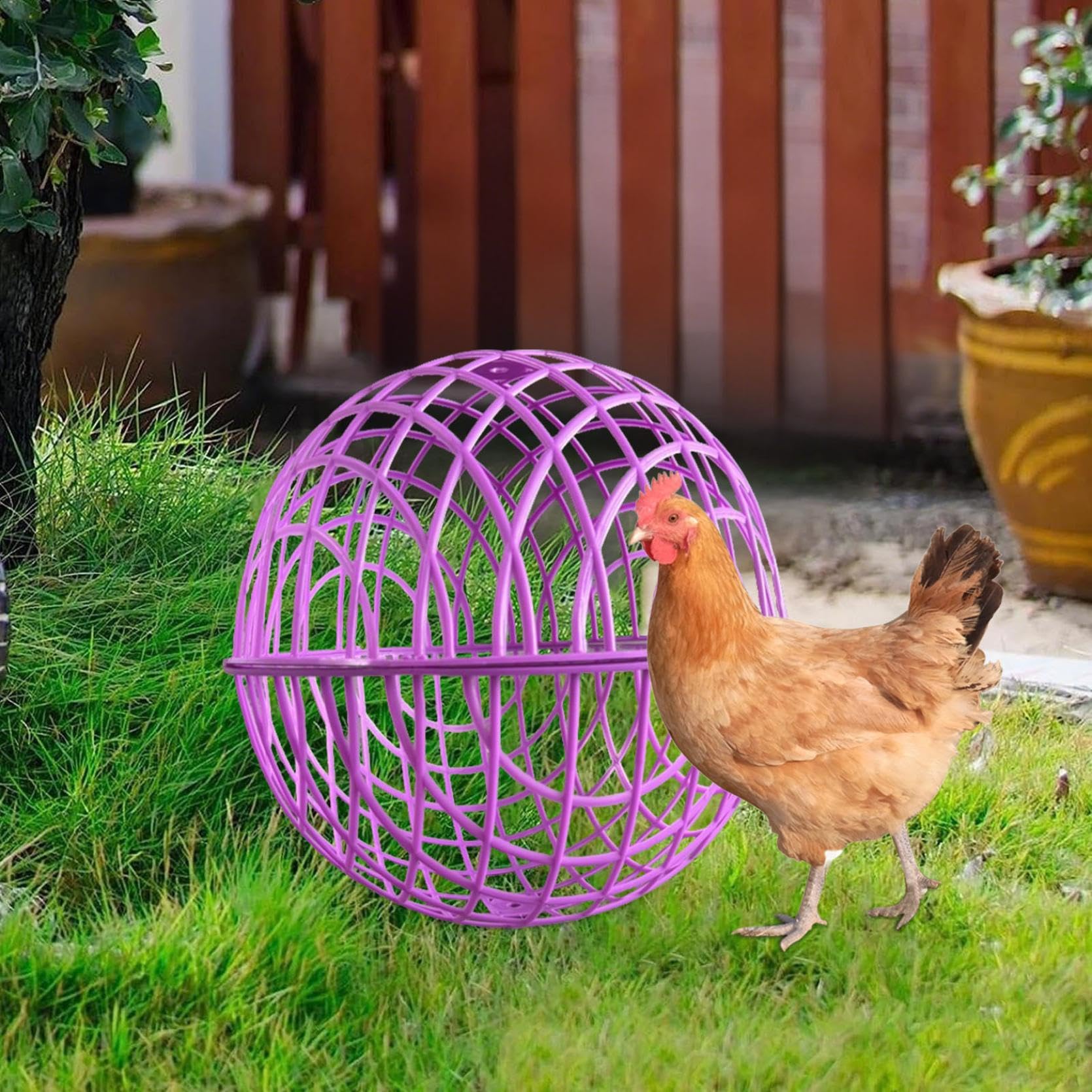 Outdoor Chicken Run 15.7 Inch Chicken Ball Cage - Mobile Rolling ...