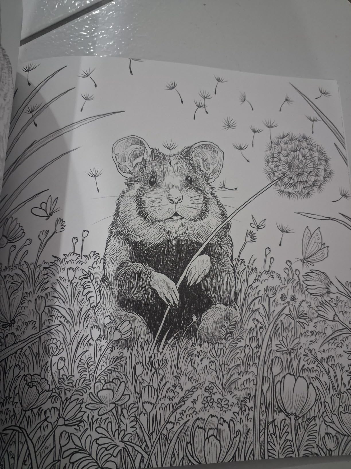 Fragile World | Amazon.com.br