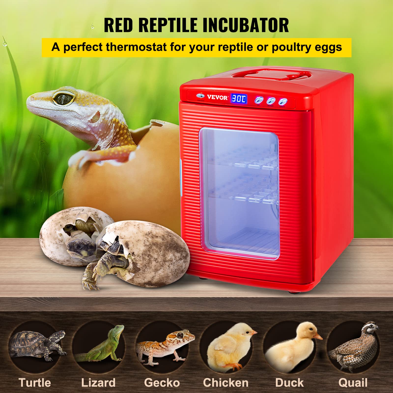 Snapklik.com : Red Reptile Incubator 25L Scientific Lab Incubator ...
