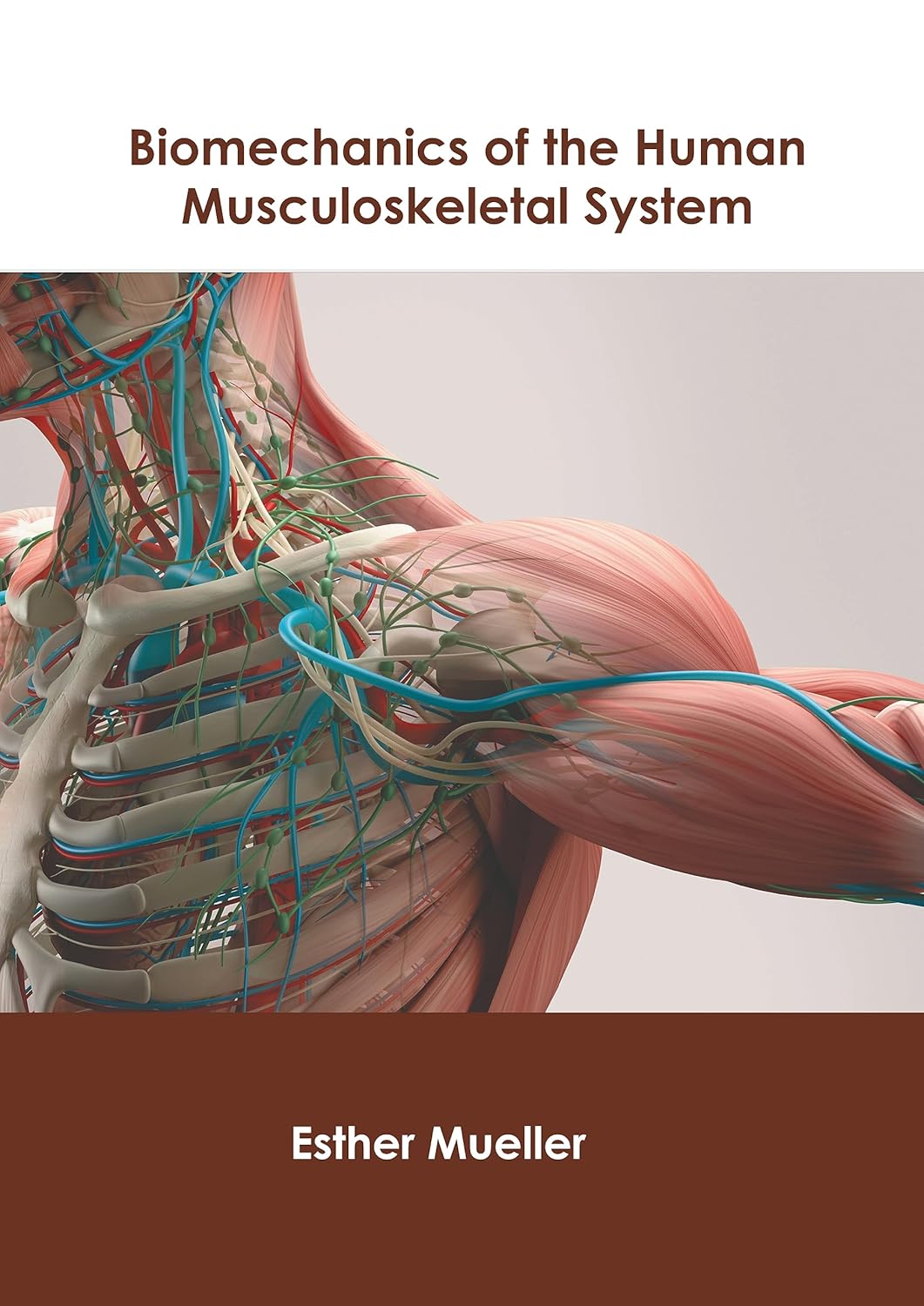 Biomechanics of the Human Musculoskeletal System: 9781639279326 ...